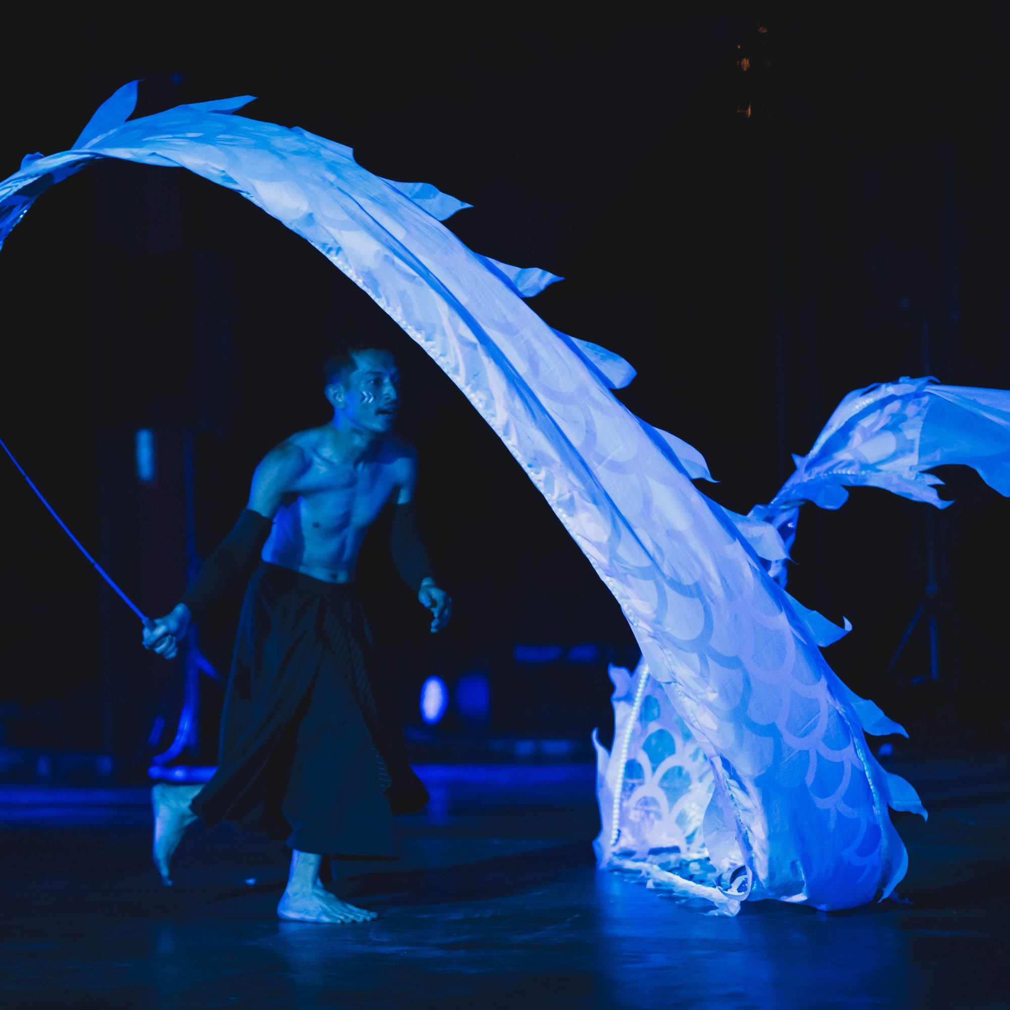 Fire Show & LED Shows, Circus Performances | Samui Circus Events